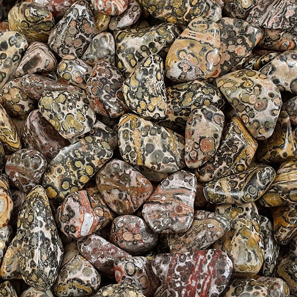 Leopard Skin Jasper Tumbled Stone - 1 Piece – The Crystal Healing Shop